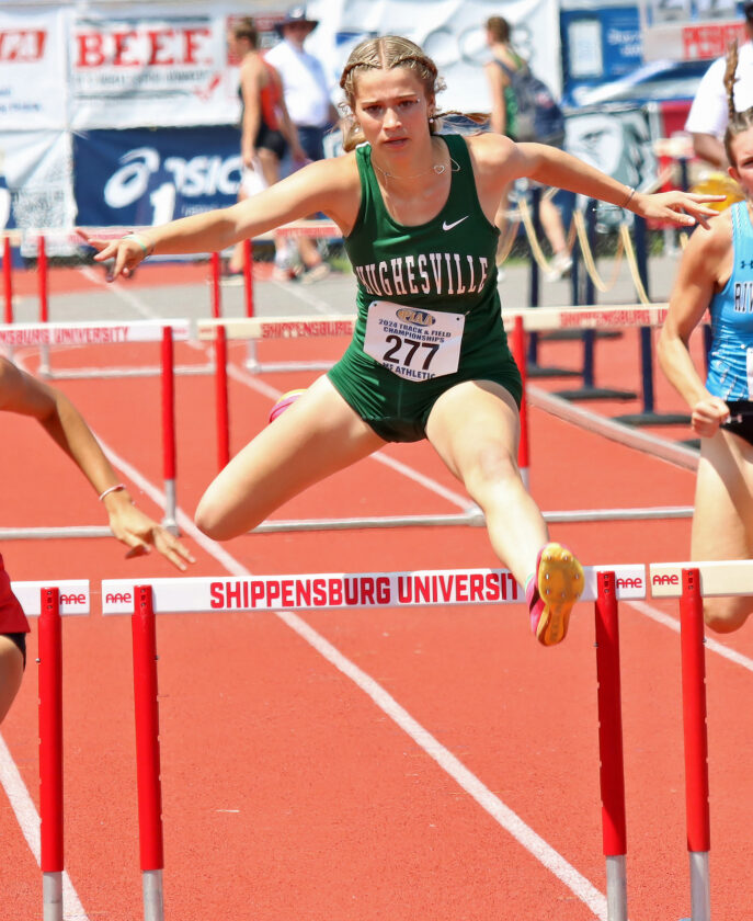 Area sees plenty of success, medals on first day of PIAA track and ...